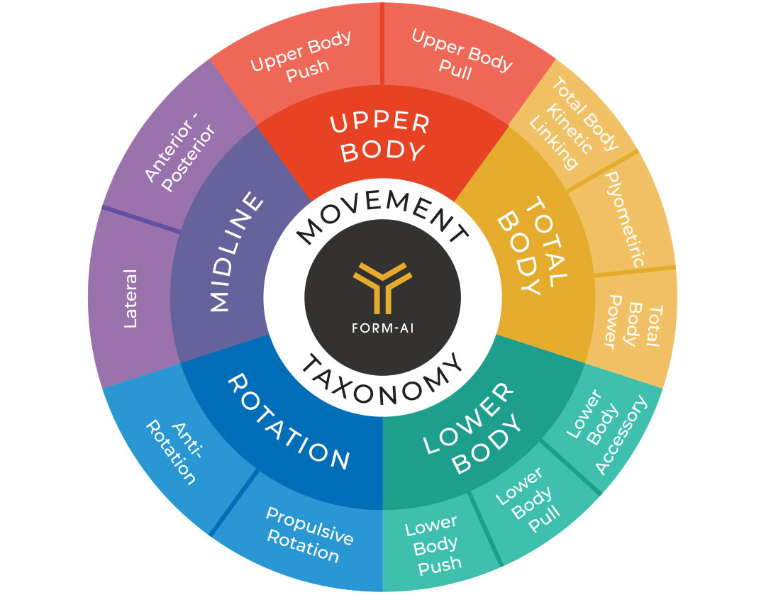 The Taxonomy Of Exercise - FORM-AI