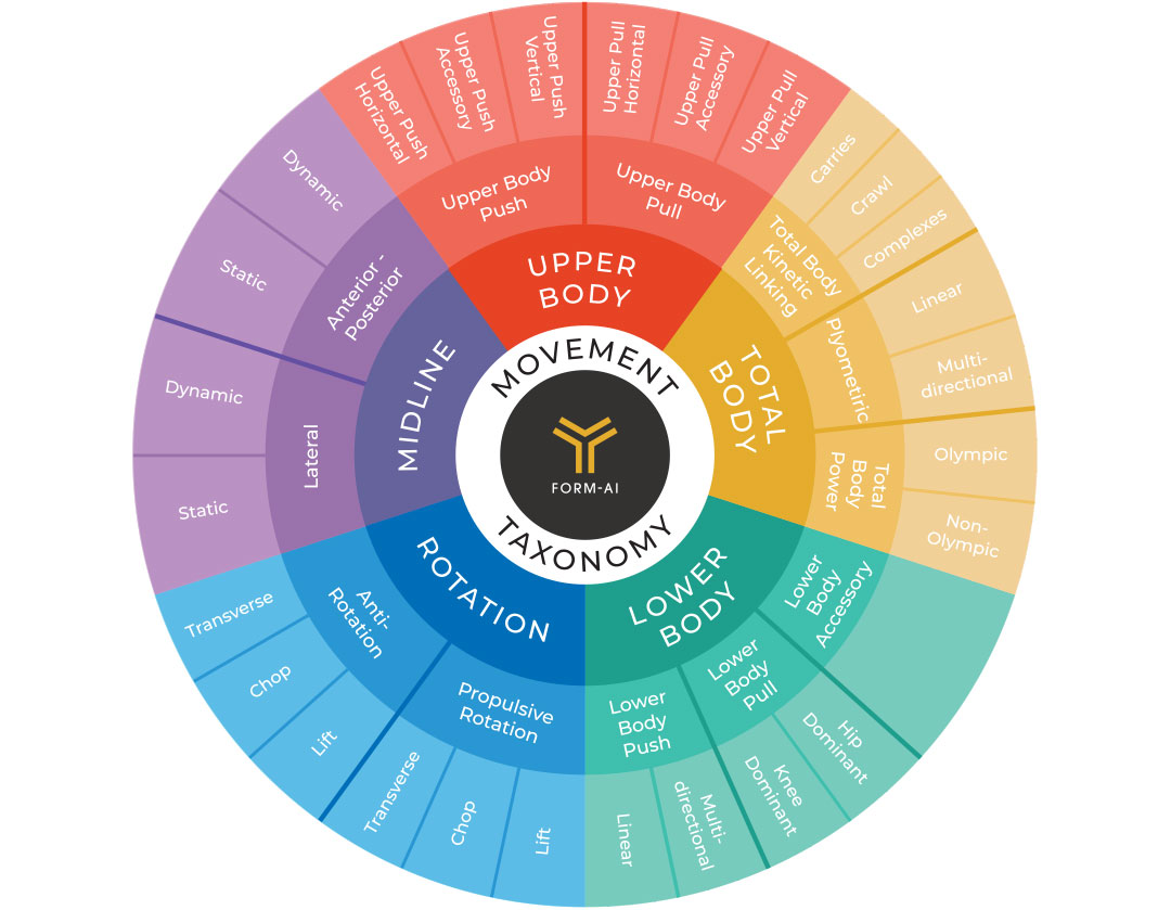 The Taxonomy Of Exercise - FORM-AI